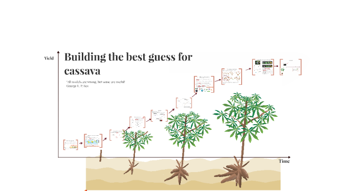 Building the best guess for cassava by Patricia Moreno on Prezi