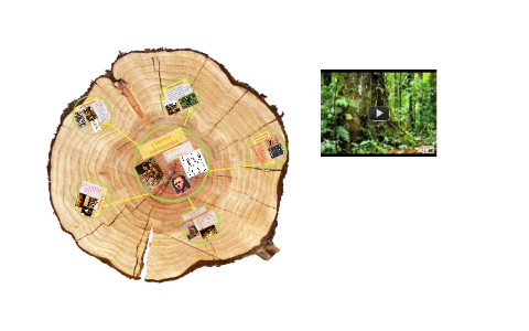 L'homme Préhistorique by blake lew-merwin on Prezi