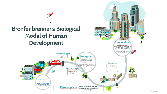 Bronfenbrenner's Biological Model of Human Development by Victoria ...