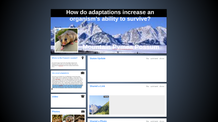 How do adaptations increase an organism’s ability to survive by ...