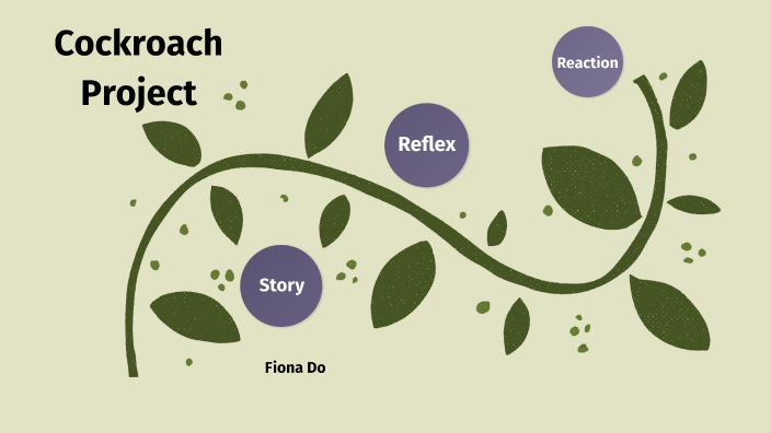 Cockroach Story by THAO DO on Prezi