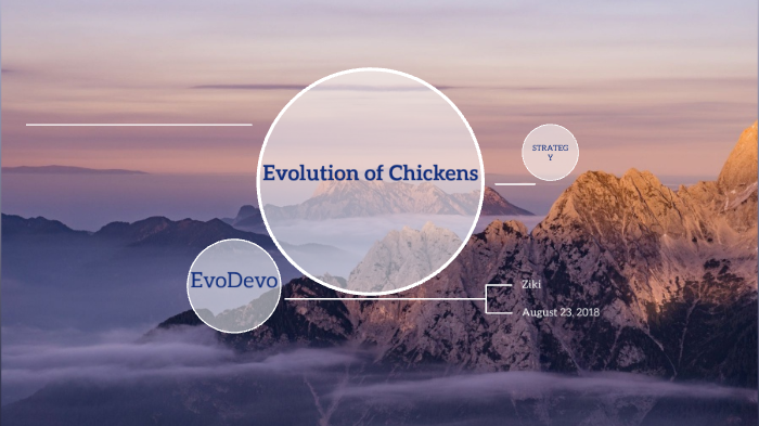 Chicken evolution by Ziki Zheng on Prezi