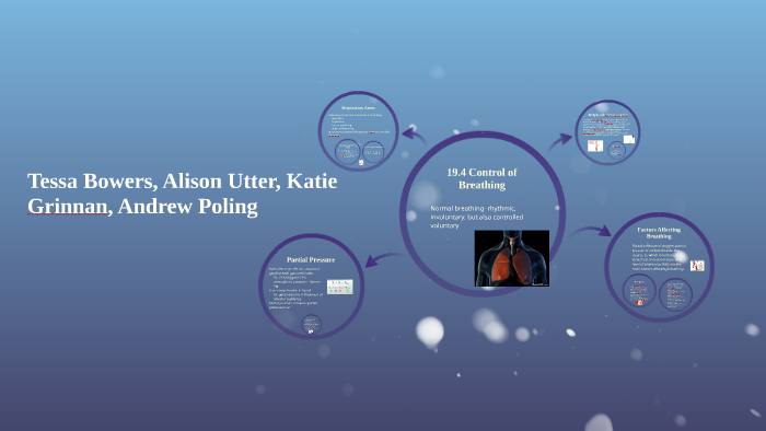 Tessa Bowers, Alison Utter, Katie Grinnan, Andrew Poling by Tessa ...