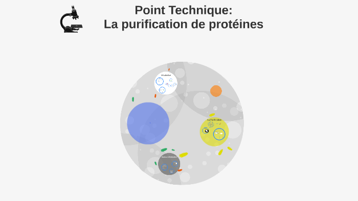 La purification de proteines pour les nuls by trichies alexandre on Prezi