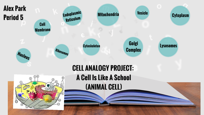 A Cell Is Like Project by Alex Park on Prezi