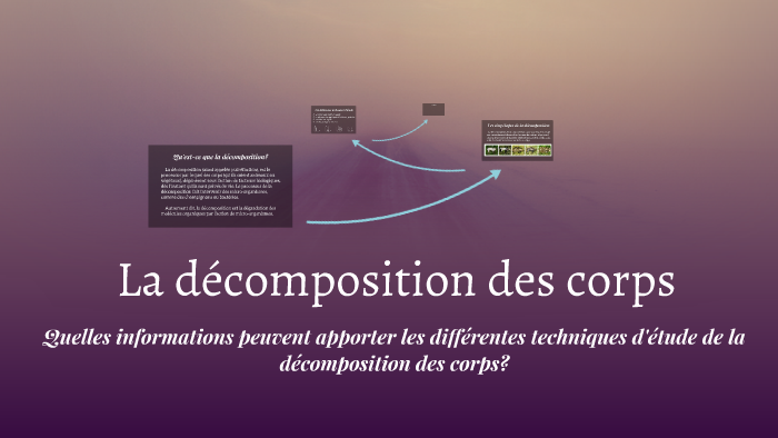 La décomposition des corps by magdalena hervada on Prezi