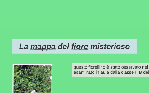 La mappa del fiore misterioso by Aldo Arbore on Prezi