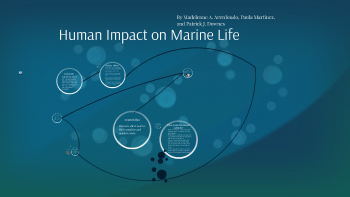Human Impact on Marine Life by on Prezi