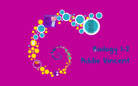 Biology 1-2 by Addie Vincent