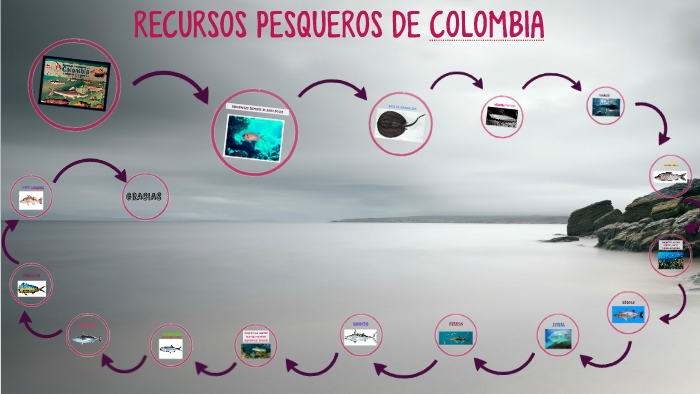 RECURSOS PESQUEROS DE COLOMBIA by karen martinez on Prezi