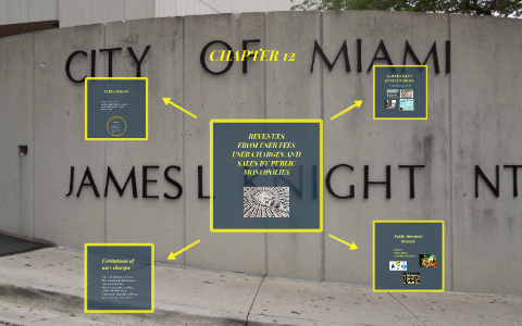 REVENUES FROM USER FEES USER CHARGES AND SALES BY PUBLIC MON by Sara ...