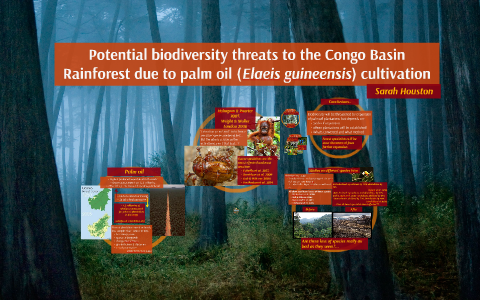 Potential biodiversity threats to the Congo Basin Rainforest by Kourosh ...