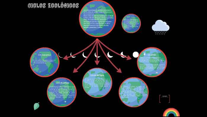Ciclos ecológicos by Sofia Salgado