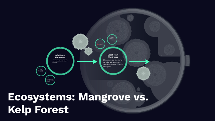 Ecosystems: Mangrove vs. Kelp Forest by Ashton Jones on Prezi