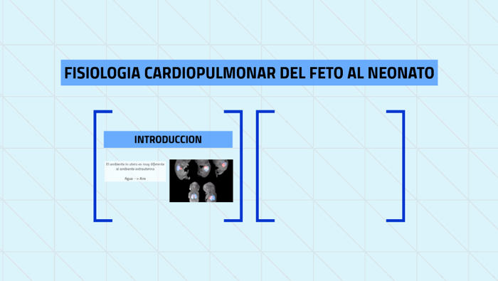 FISIOLOGIA CARDIOPULMONAR DEL FETO AL NEONATO by isabel clavijo hoyos