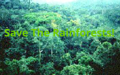 Save The Rainforests by dylan smith on Prezi