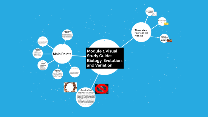 Module 1 Visual Study Guide: Biology, Evolution, and Variati by ...