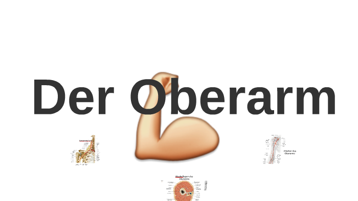 Der Oberarm by Dorian Dirksen on Prezi