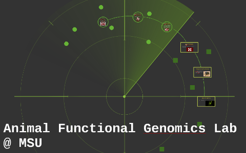 Animal Functional Genomics Lab @ MSU by Alyssa Sheets on Prezi