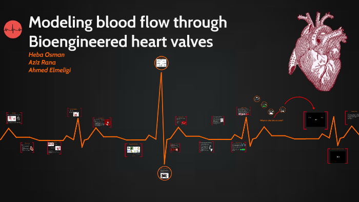 Modeling blood flow through Bioengineered heart valves by Heba Osman on ...