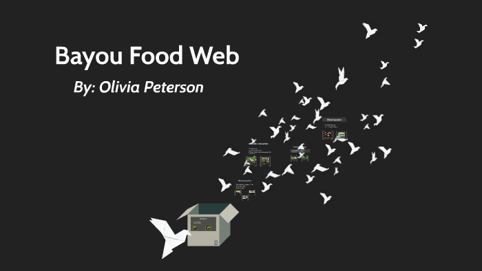 Bayou Food Web by Olivia Peterson on Prezi