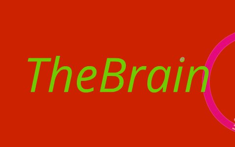 Brain by Nancy MacDowell