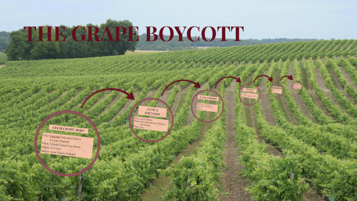 The Grape Boycott Timeline by Dawson Sigler on Prezi