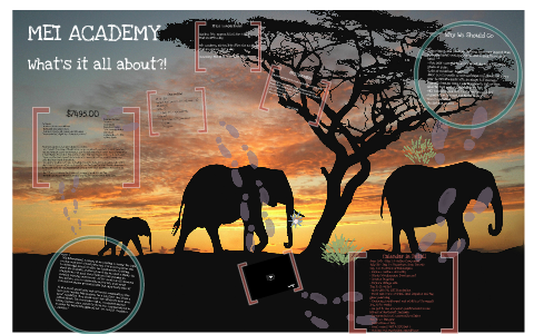 MEI ACADEMY by Tara Shannon on Prezi