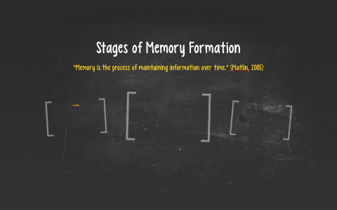 The Process of Memory Formation by Unique Bivens on Prezi