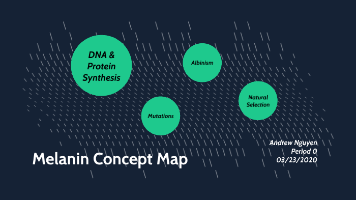 Melanin Concept Map by Andrew Nguyen on Prezi