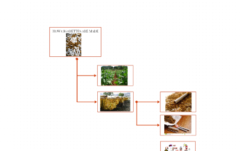 How cigarettes are made by Abdullah Fahad on Prezi