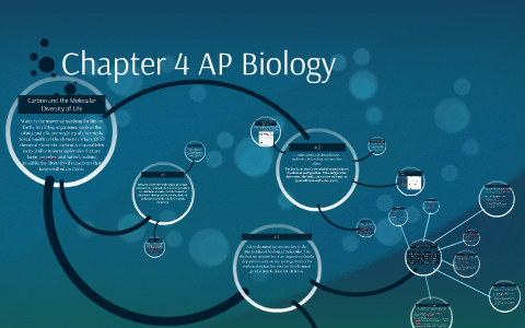 Chapter 4 AP Biology by Olivia Fisher on Prezi
