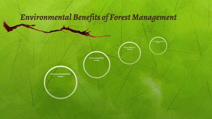 Environmental Benefits of Forest Management by Stacy Walley on Prezi