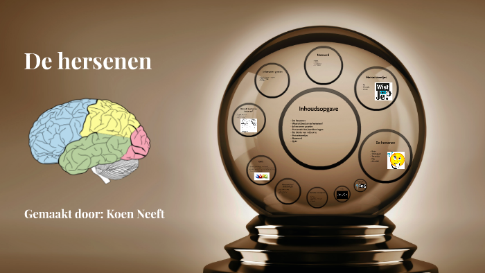 De hersenen by Koen Neeft on Prezi