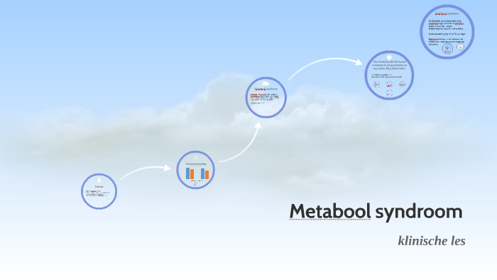 Metabool syndroom by Imke Adriaansen on Prezi