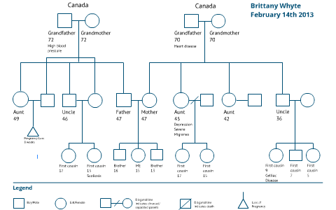 Biology Family Tree by Brittany Whyte on Prezi