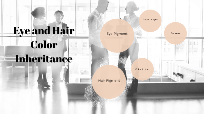 Eye & Hair color inheritance by Emily Lee on Prezi
