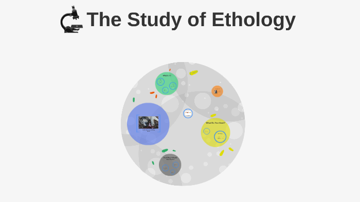 The Study of Ethology by Eliza Borchert
