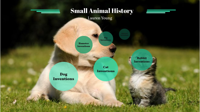 SAM History Timeline by Lauren Young on Prezi