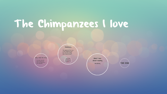 The Chimpanzees I love by erin davidson on Prezi