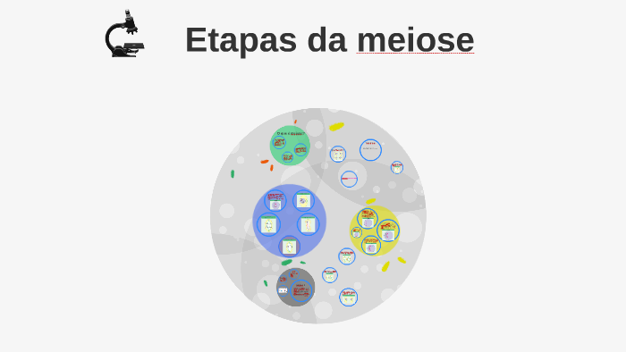 Etapas da meiose by Fabiane Simch on Prezi