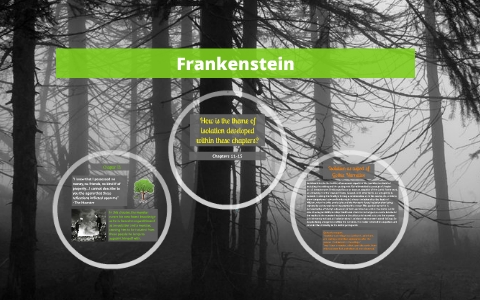 How is the theme of isolation developed within these chapter by Nicole ...