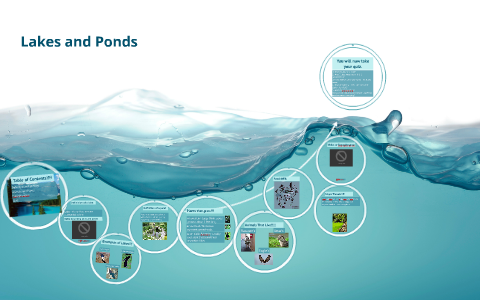 Lakes and Ponds by on Prezi