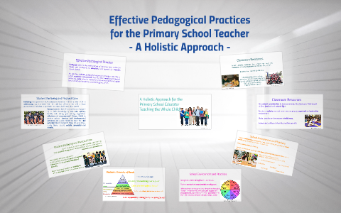 Effective Pedagogical Practices for the Primary School Teach by ...