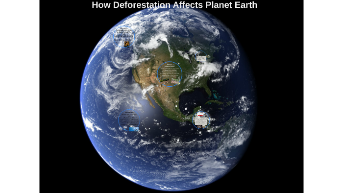 How Deforestation Affects Planet Earth by Amanda Soliman on Prezi