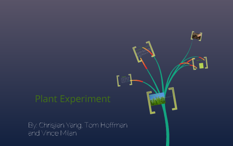 Plant experiment by tom hoffman on Prezi