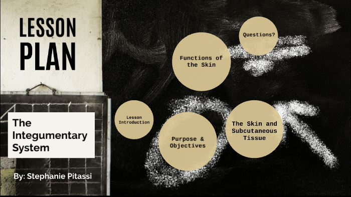 The Integumentary System by Stephanie Pitassi on Prezi