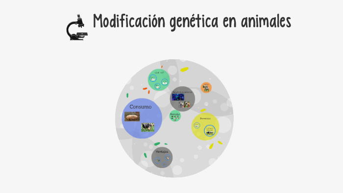 Modificación genética en animales by Ariana Jara Cárdenas on Prezi