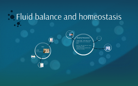 Fluid balance and homeostasis by Ed Jones on Prezi