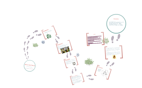 Nickel and Dimed by Nickel Dimed on Prezi